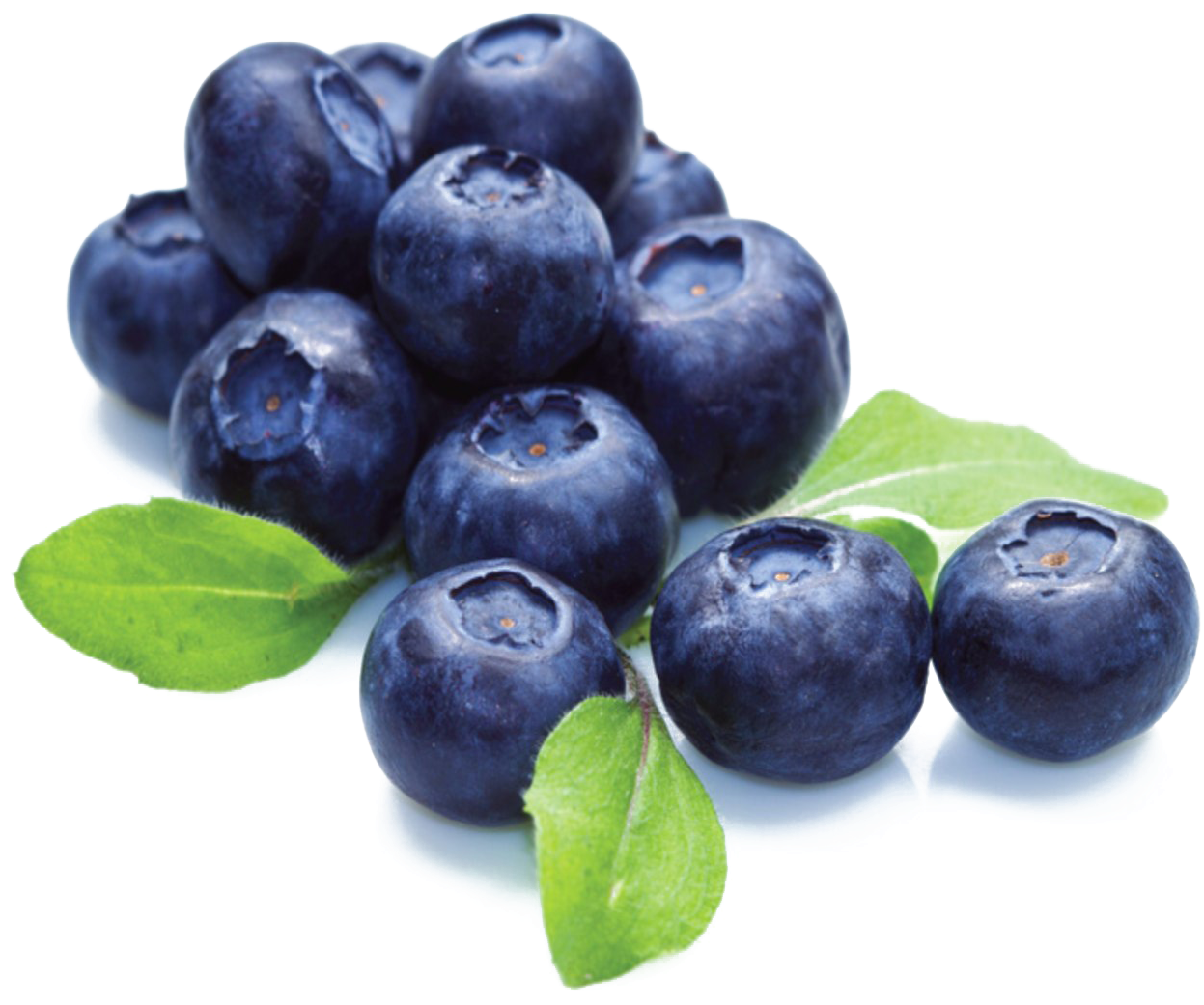 Download Blueberries Transparent - Transparent Background Blueberries ...