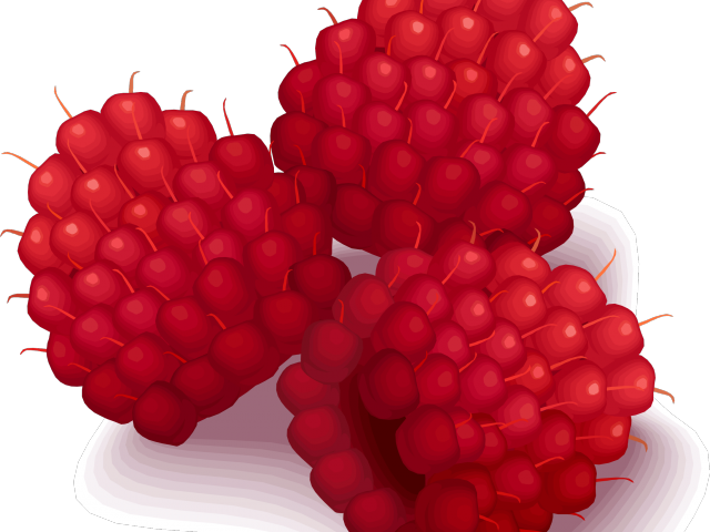Download Clip Art Raspberry - ClipartKey