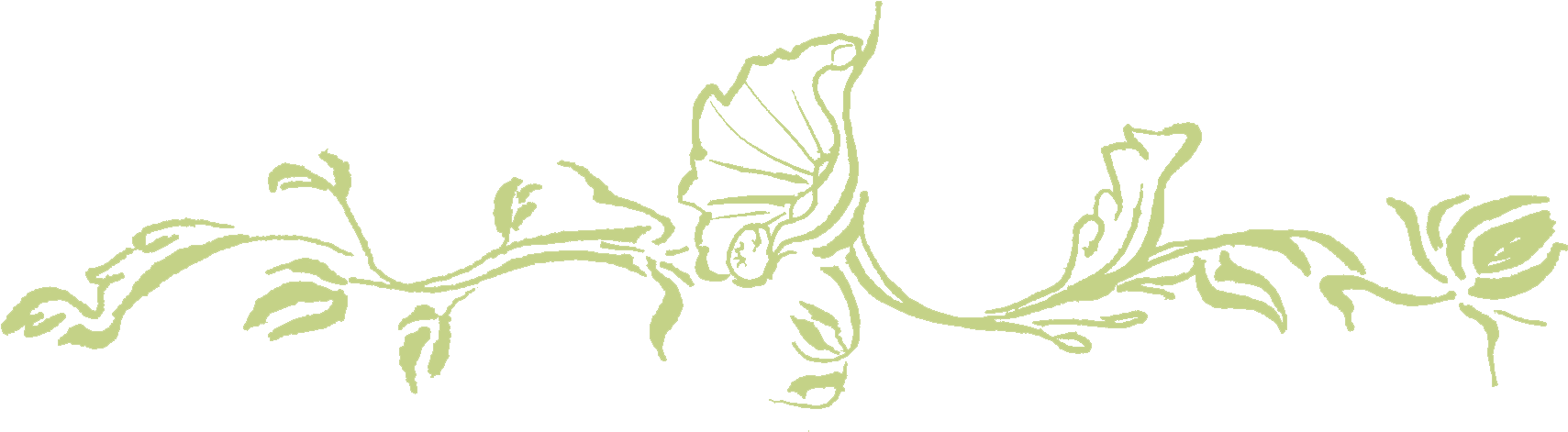 Download Transparent Jungle Vine Png - Horizontal Vine Png - ClipartKey