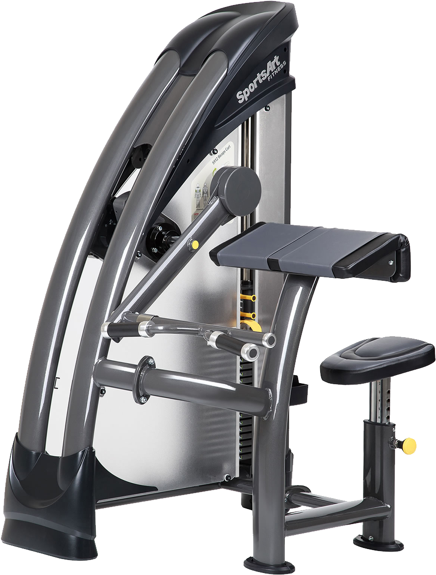 Download Transparent Biceps Png - Sportsart Biceps Curl - ClipartKey