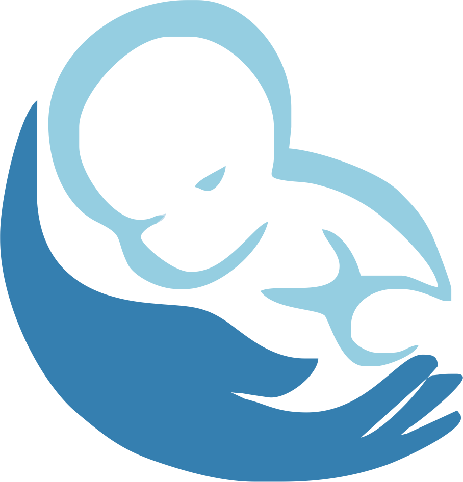Download New Life Foundation Clipart , Png Download - ClipartKey