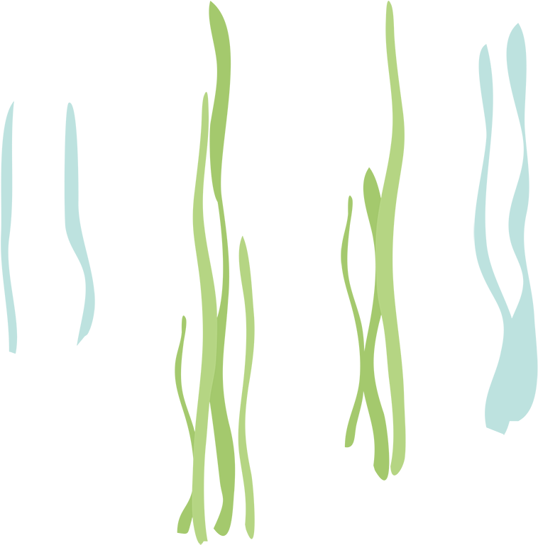 Download Reeds-2x - Calligraphy - Calligraphy - ClipartKey