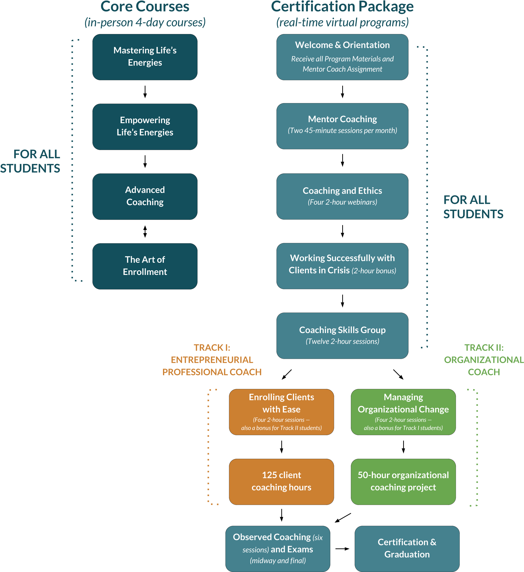 Download Transparent Flow Chart Png - Training Program Training Flow ...