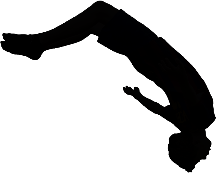 Download Monochrome Photography Silhouette Logo - Back Flip Logo Png ...