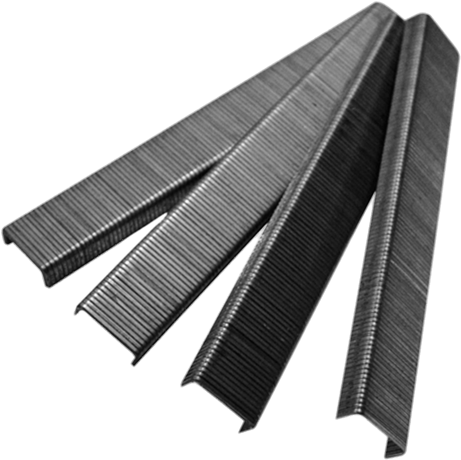 Download Four Rows Of Staples - Staple - ClipartKey