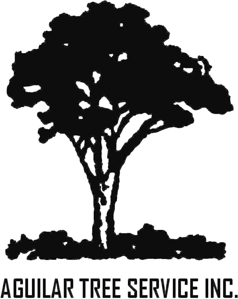 Download Tree Service Clip Art - ClipartKey