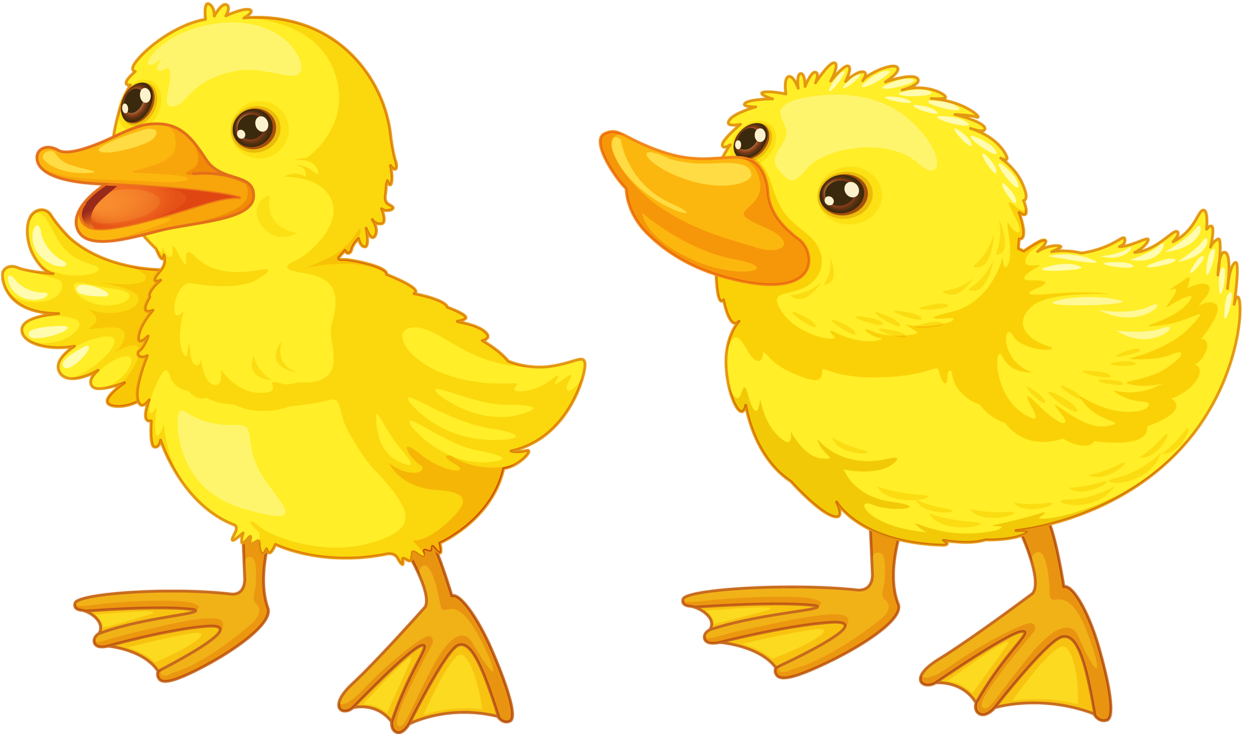 Download Transparent Quack Clipart - Duck - ClipartKey