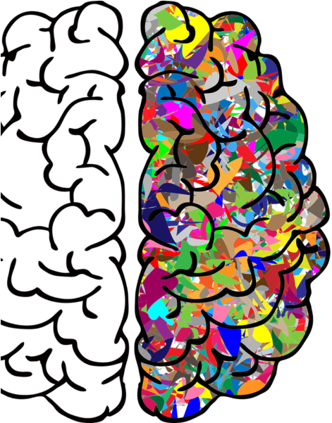 Download Left Brain Right Brain Transparent - ClipartKey