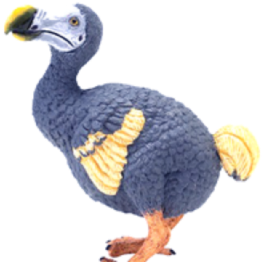Download Dodo Bird Png - - Dodo Bird Transparent Background - ClipartKey