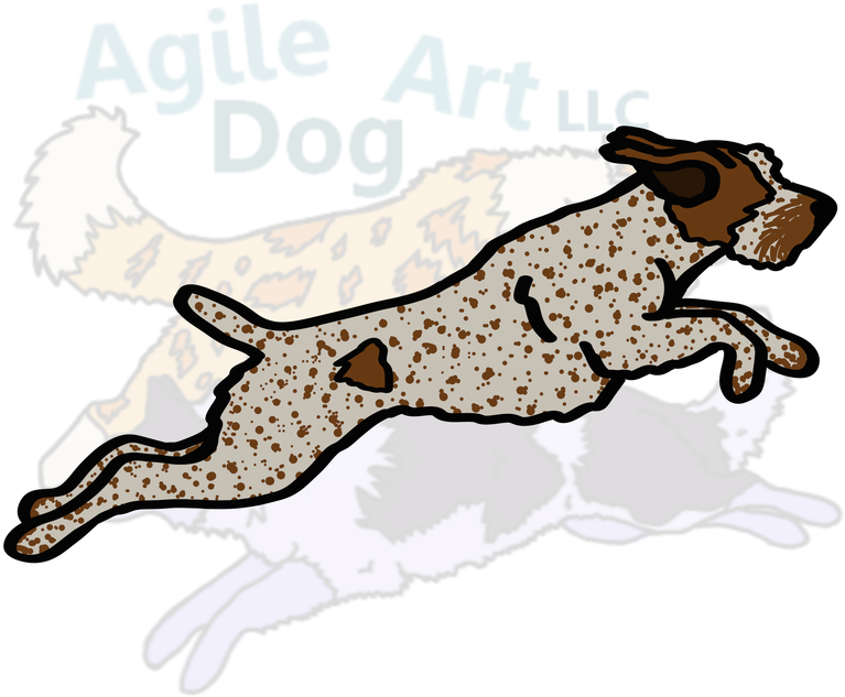 Download German Wirehaired Pointer , Transparent Cartoons - ClipartKey