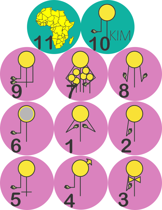 Download Transparent Grammar Png - Pronouns Icons - ClipartKey