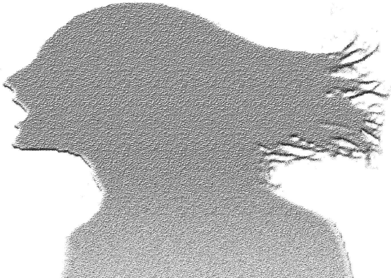 Download Sketch , Transparent Cartoons - ClipartKey