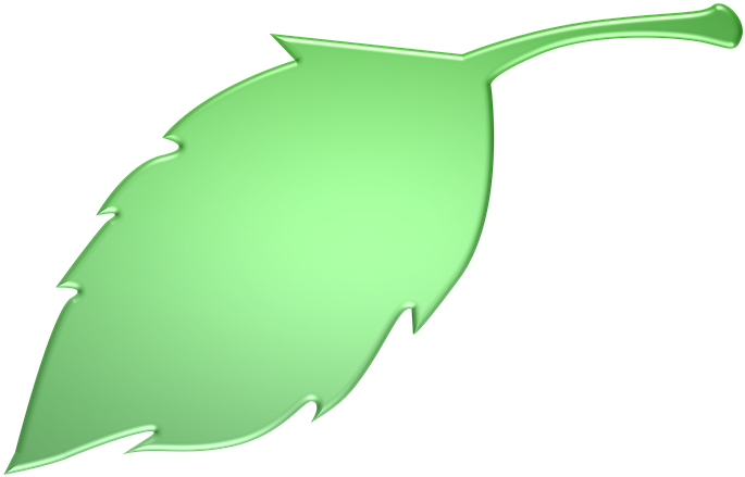Download Green Leaves Clipart Long Leaf - Illustration - ClipartKey