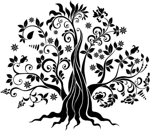 Download Tree Of Life Clipart - Transparent Tree Of Life - ClipartKey