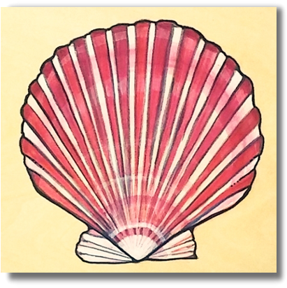 Download Scallop Shell - Paper - ClipartKey