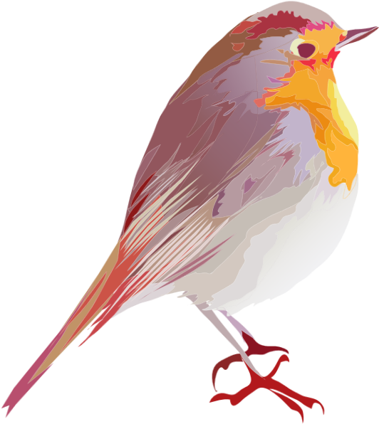 Download Robin Clipart Spring Robin - Birds Png Sticker - ClipartKey