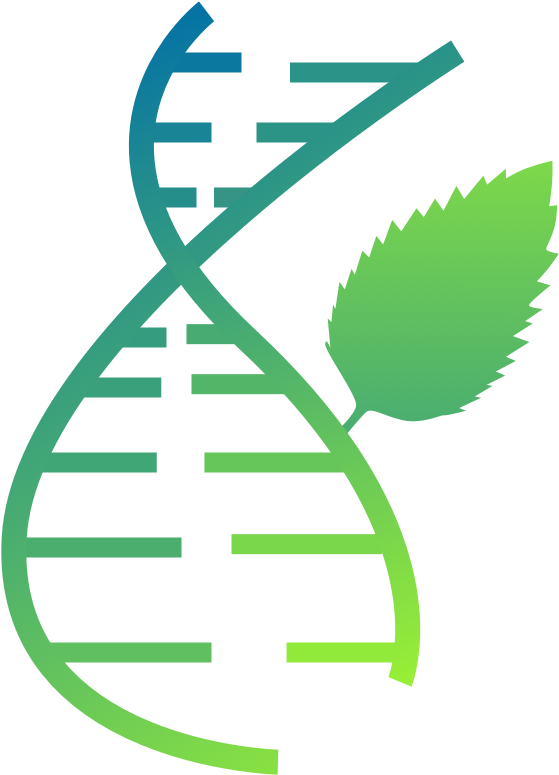 Download Mint Can Analyze Structure Of Your Rna Molecule Meaning ...