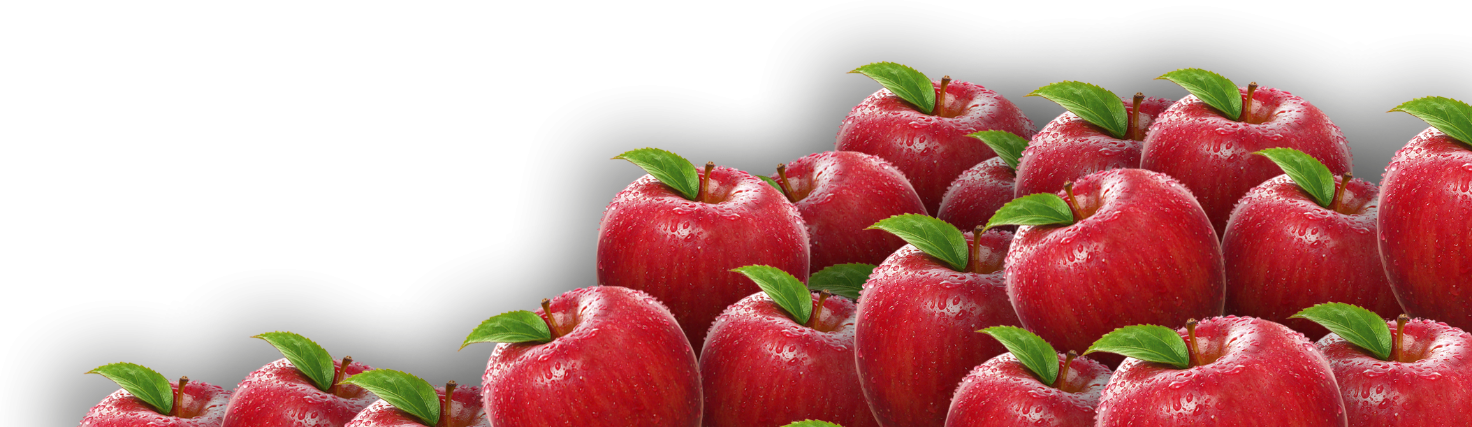 Download Transparent Apples Clipart - Apple Hd Png - ClipartKey