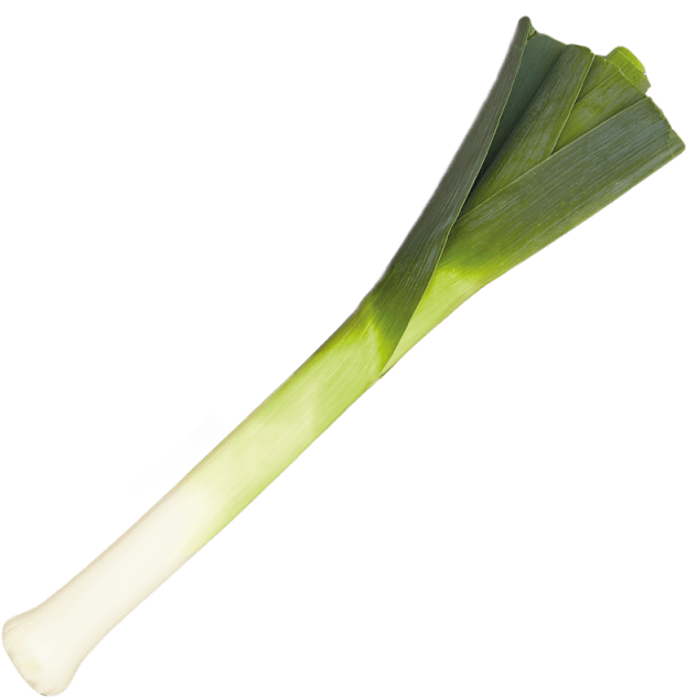 Download Leek Png Transparent Background - Leek Transparent Background ...