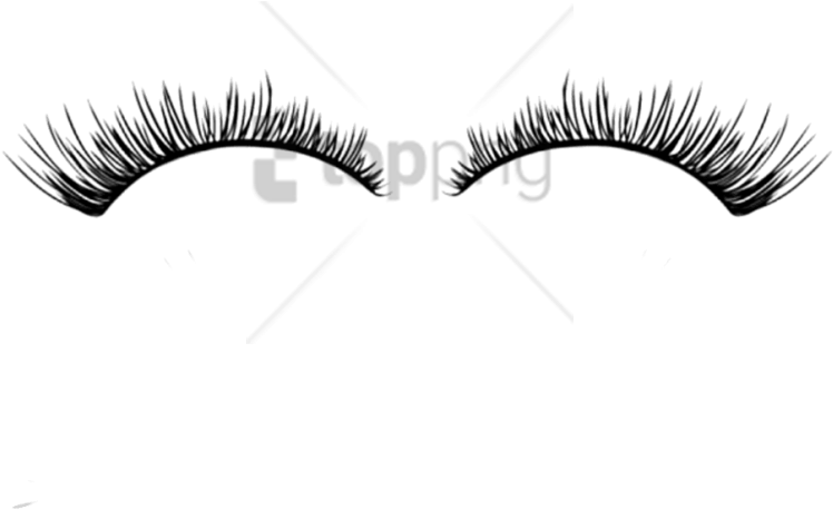 Download Eyelashes Transparent Background - Eyelash Png - ClipartKey