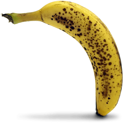 Download Bananas Transparent Rotten - Rotten Banana Png - ClipartKey