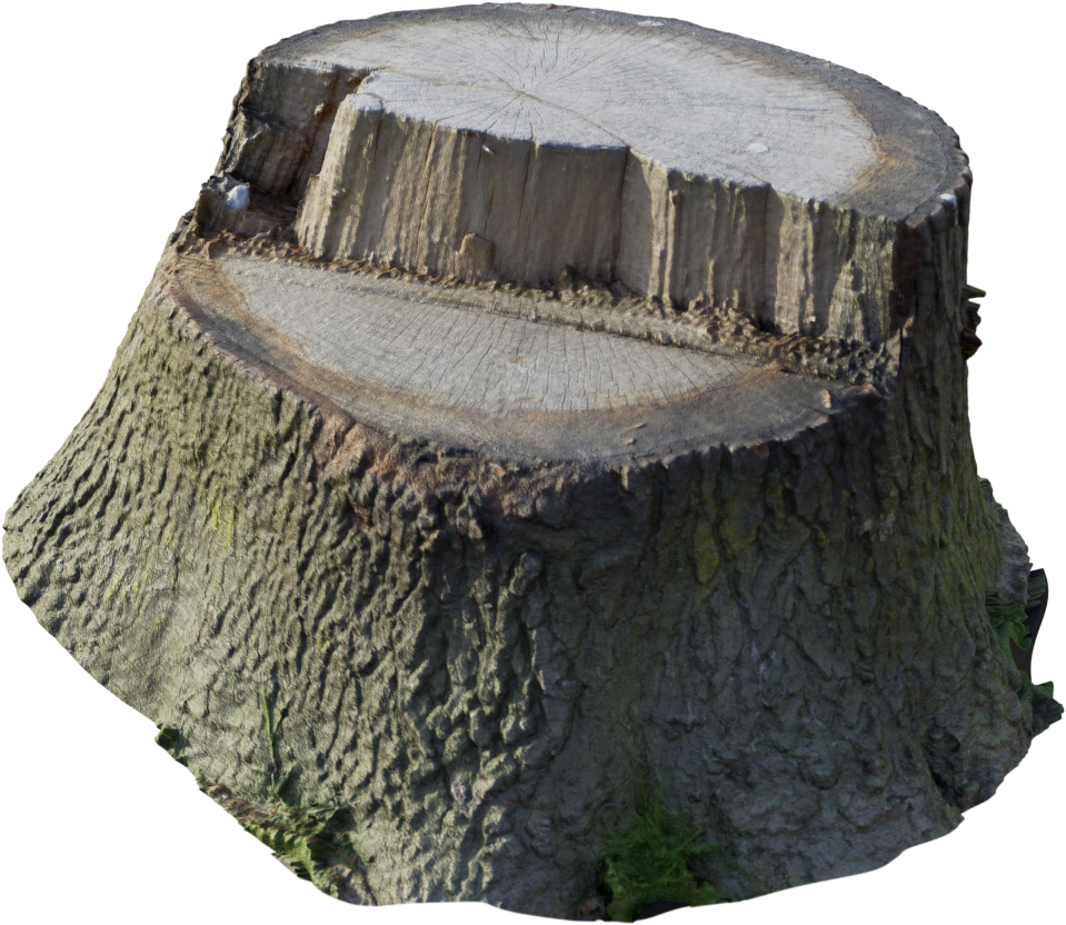 Download Scanned Tree Stump - Tree Stump Transparent - ClipartKey