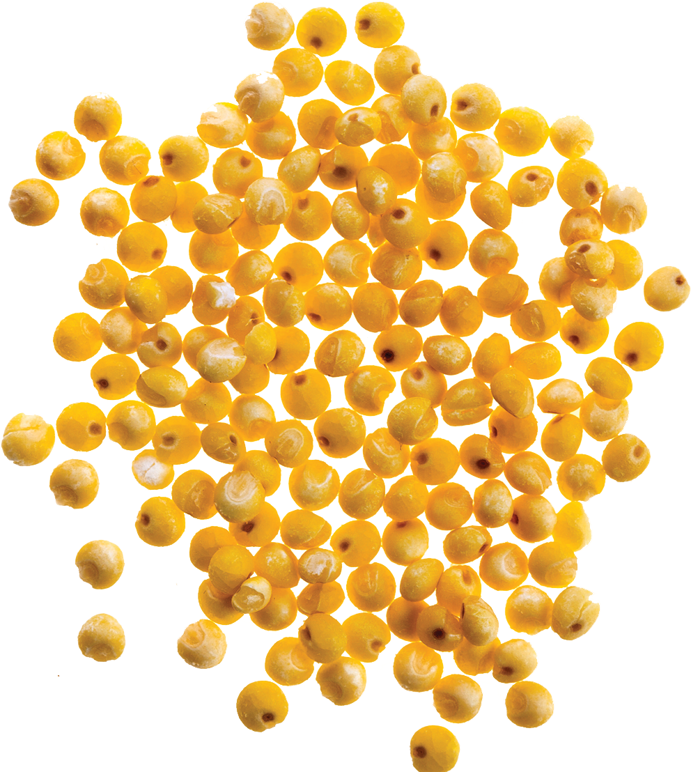 Download Transparent Pile Of Gold Png - Circle - ClipartKey