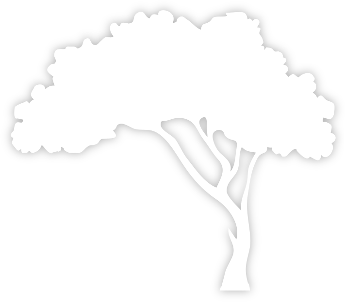Download Transparent White Tree Png - Silhouette White Tree Png ...