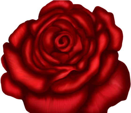Download Red Rose Clipart Pro Life - Rose Transparent Art - ClipartKey