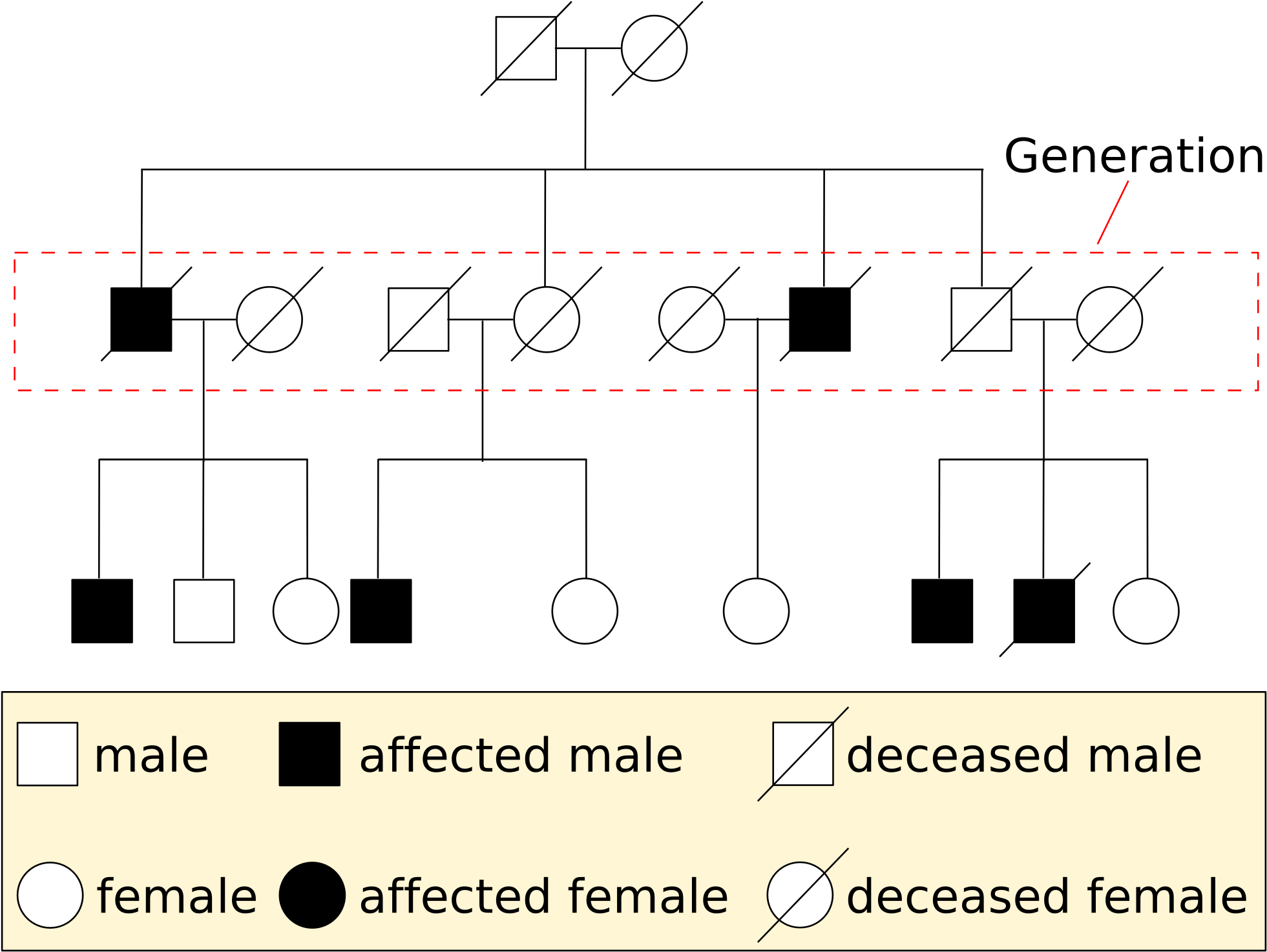Download Clip Art Genetics Erkal Jonathandedecker Com - Genetic ...