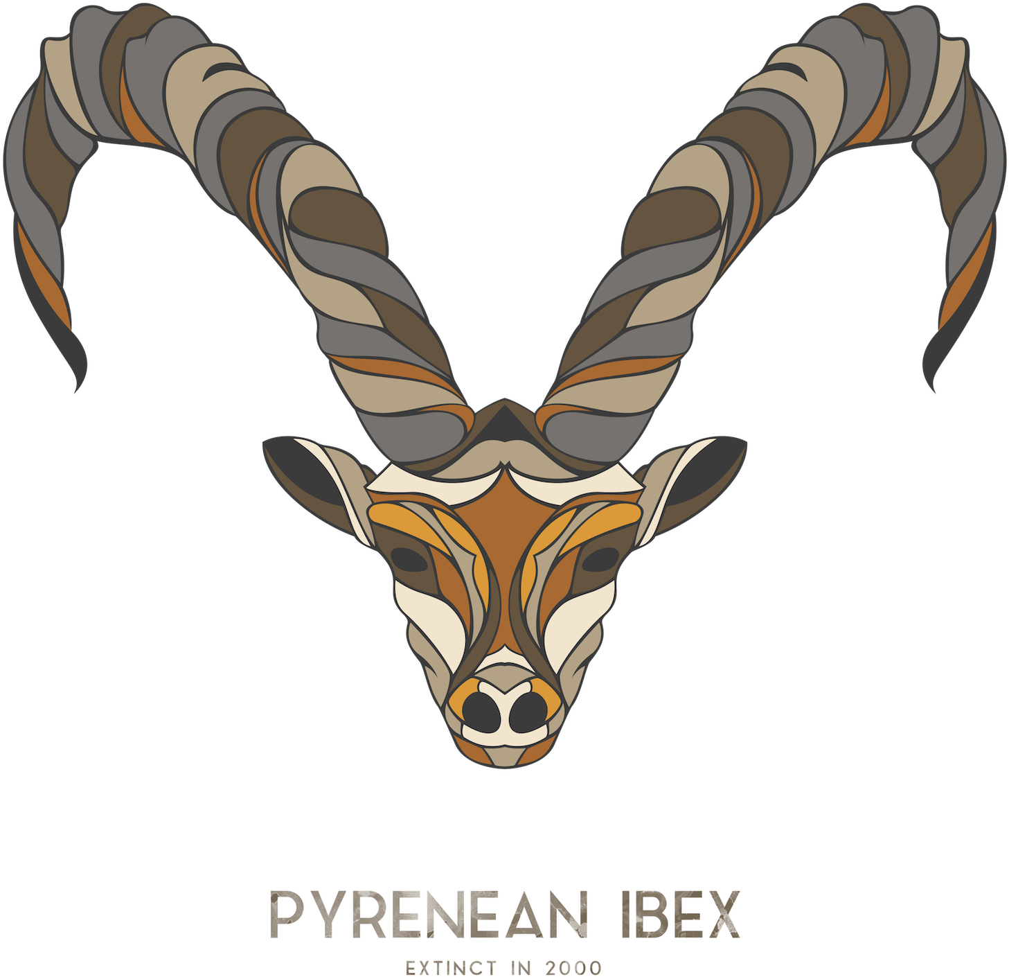 Download Pyrenean Ibex - ClipartKey