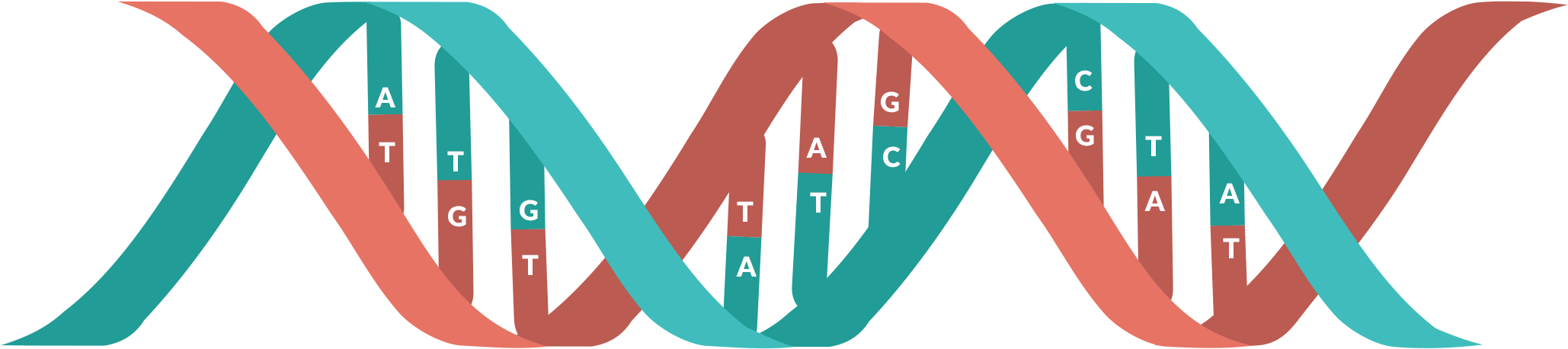 Download Transparent Dna Genetics Clipart Transparent - ClipartKey
