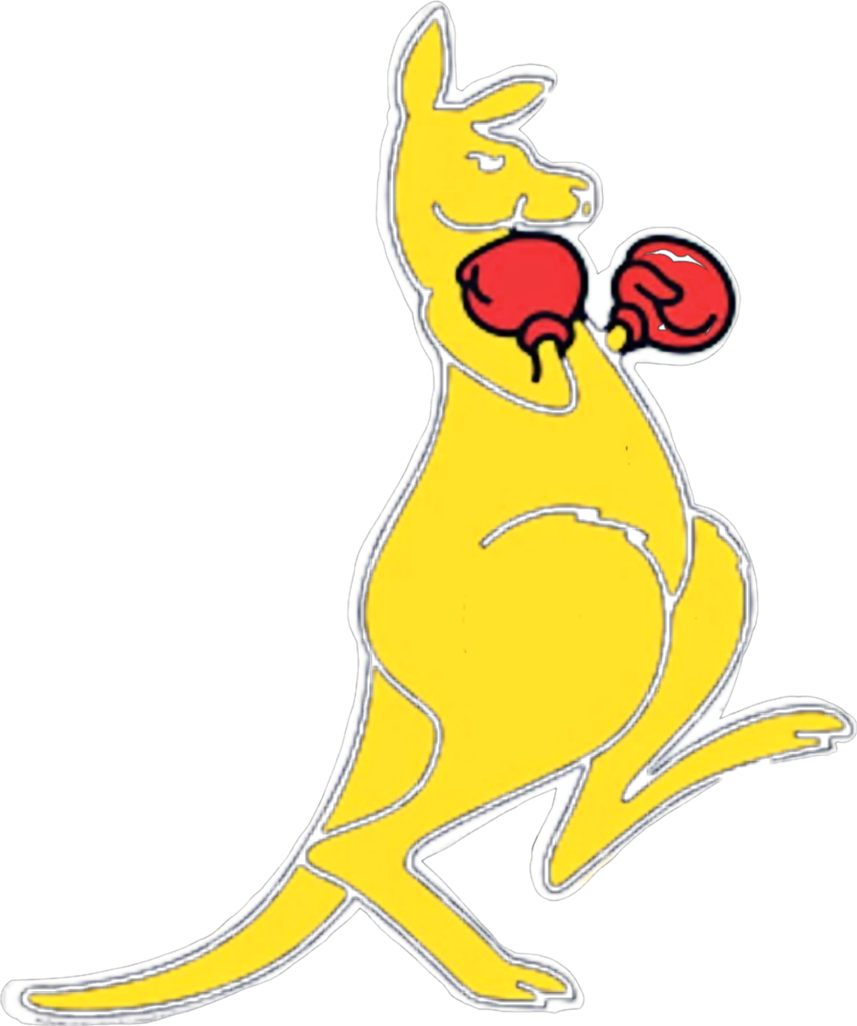 Download Kangaroo Clipart Boxing - Cartoon - ClipartKey