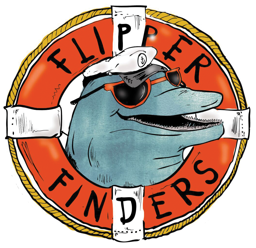 Download Flipper Finders - ClipartKey