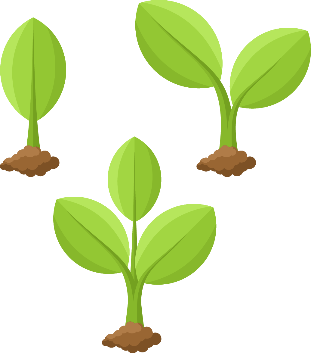 Download Transparent Plant Growing Png - Plant Cartoon Drawing - ClipartKey