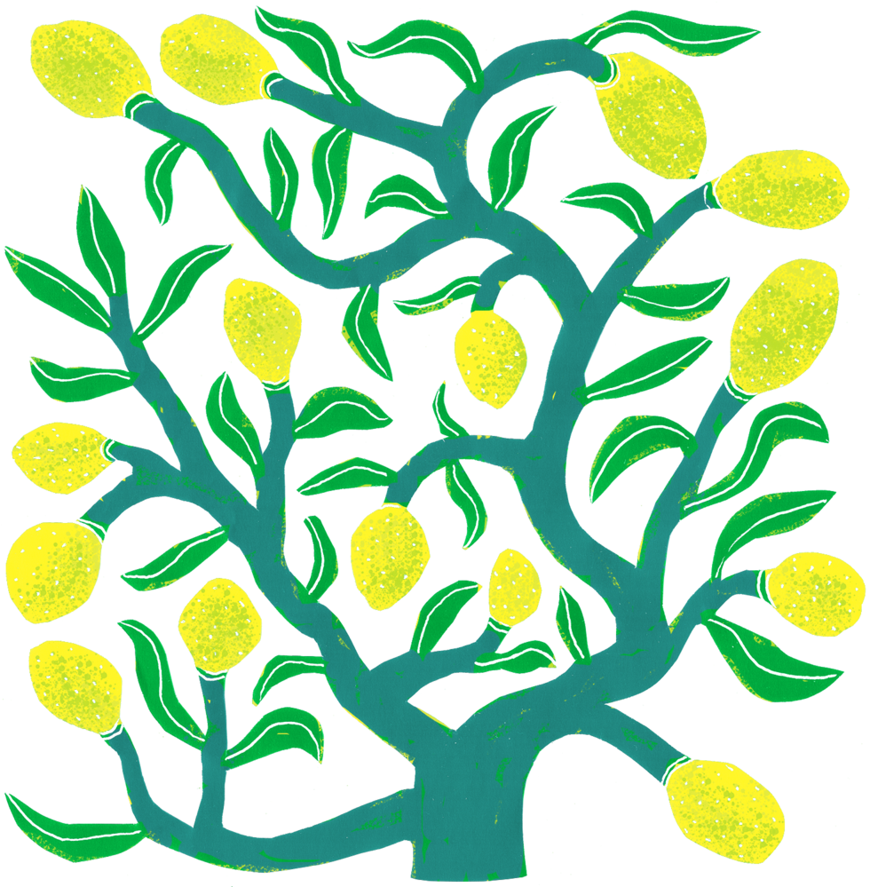 Download Transparent Lemon Tree Png - ClipartKey
