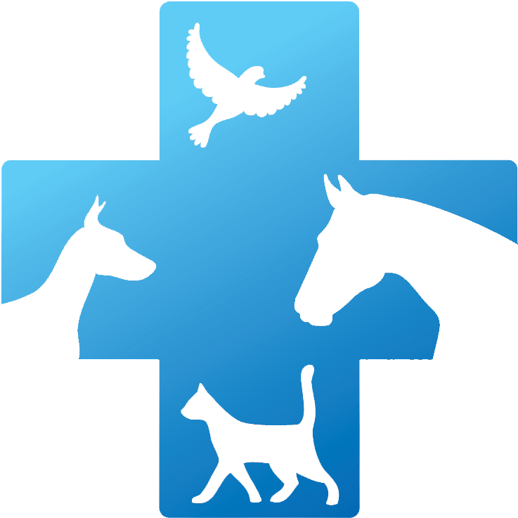 Download Veterinary Doctor Logo , Transparent Cartoons - Veterinary ...