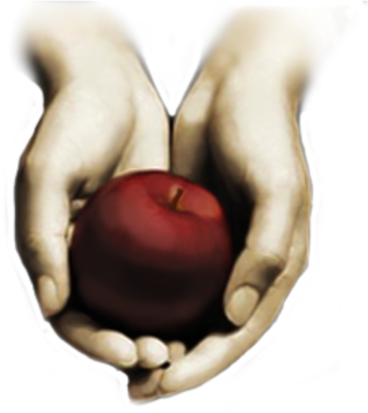 Download Twilight Book Cover - ClipartKey