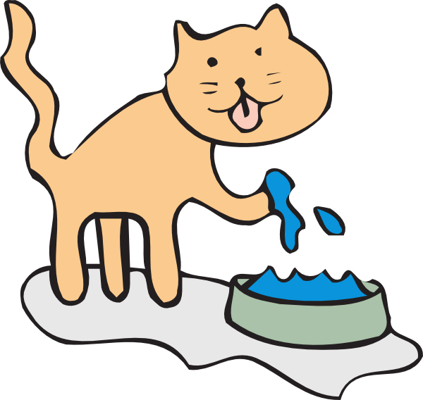 Download Feed The Cat Clipart - Cats Png Feed - ClipartKey