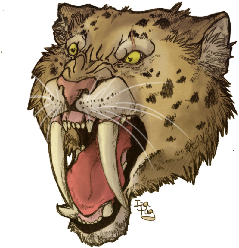 Download Transparent Saber Tooth Tiger Png - ClipartKey