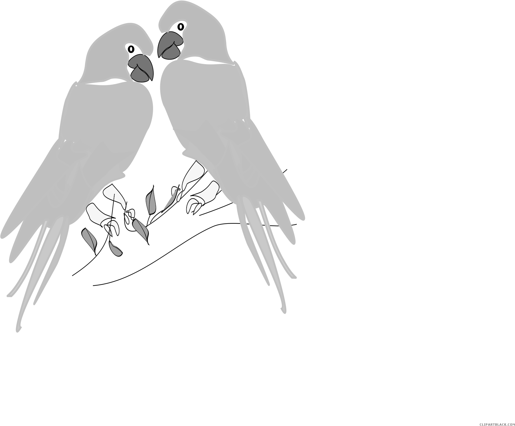 Download Grayscale Parrot Animal Free - Parrot - ClipartKey