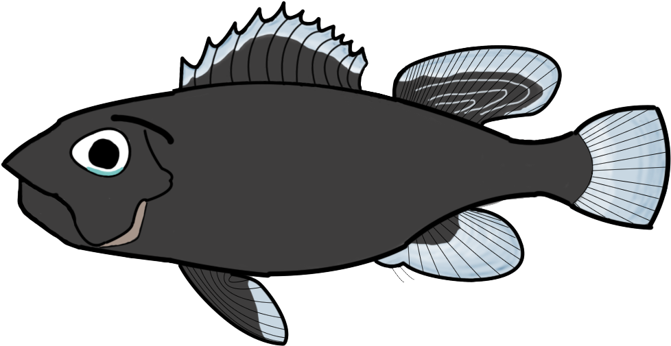 Download Transparent Sad Fish Png - California Flounder - ClipartKey