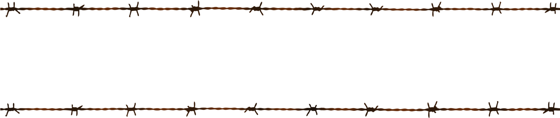 Download Transparent Barbed Wire Border Png - Barbed Wire - ClipartKey