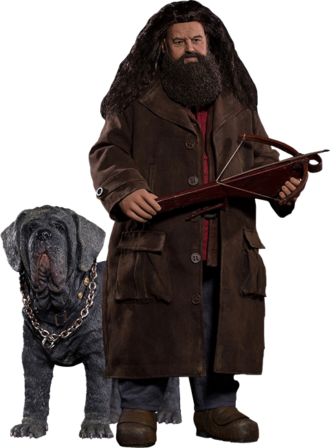 Download Rubeus Hagrid With Fang 1/6th Scale Action Figure - Hagrid ...
