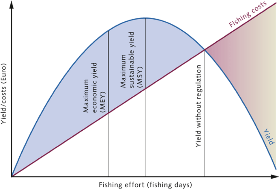 Download Clip Art Flat Line Fishing - Triangle - ClipartKey