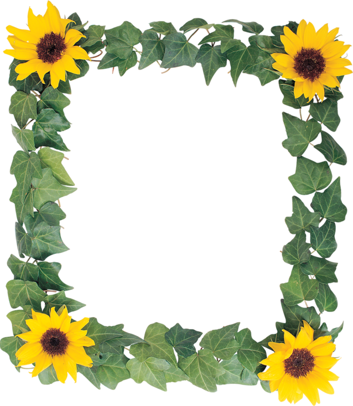 Download Sunflower Clipart Wedding - Sun Flower Frame Hd Png - ClipartKey