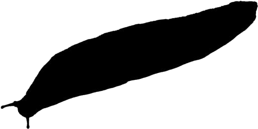 Download Transparent Snail Clipart Image - Shadow - ClipartKey