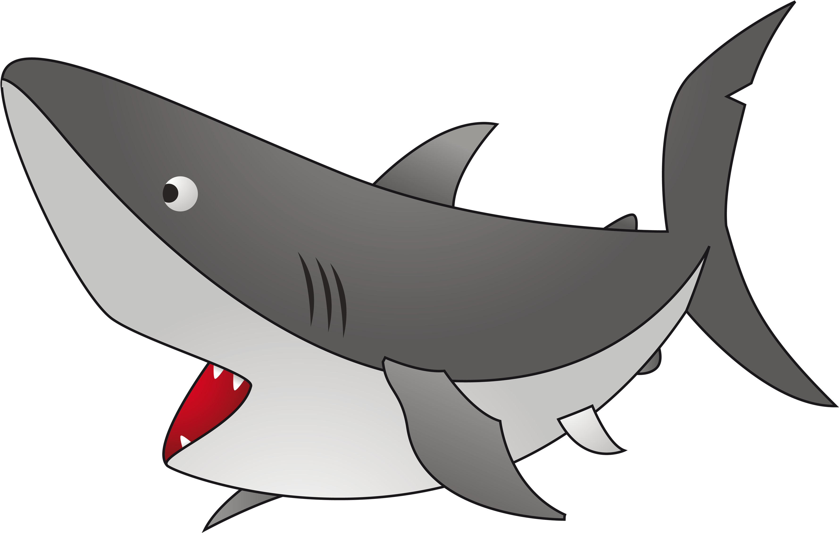 Download Transparent Tiburon Png - Great White Shark Clip Art - ClipartKey