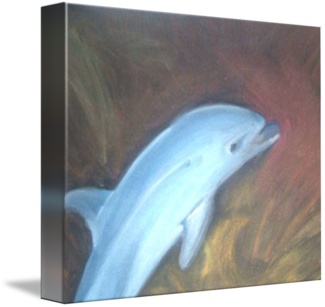 Download Porpoise Drawing Pink Dolphin - Common Bottlenose Dolphin ...