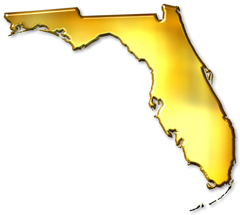 Download Florida Transparent Page - Gold Florida Png - ClipartKey